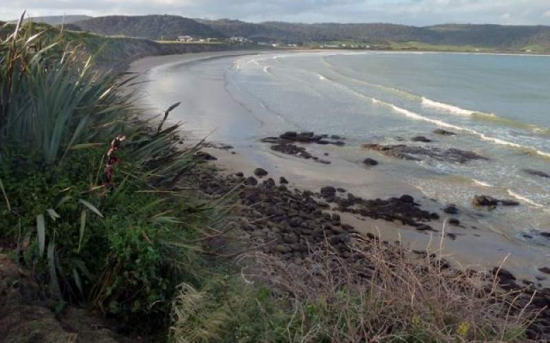 Curio Bay Camping Ground | Full Service Camp | New Zealand